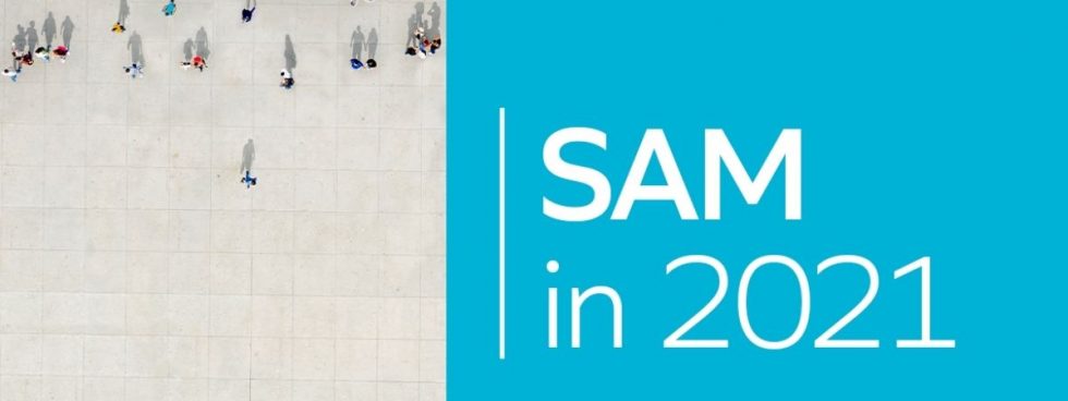 SAM in 2021: 10 Key Considerations for a Successful SAM Program - GCS ...